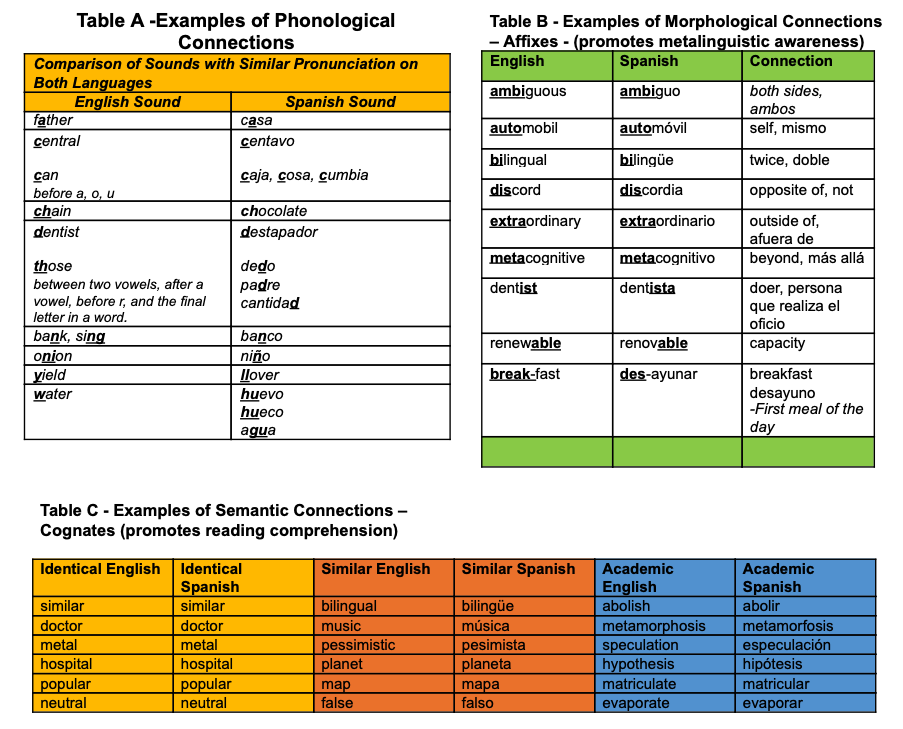 A Chat About English/Spanish Pedagogical Connections – Seidlitz Education