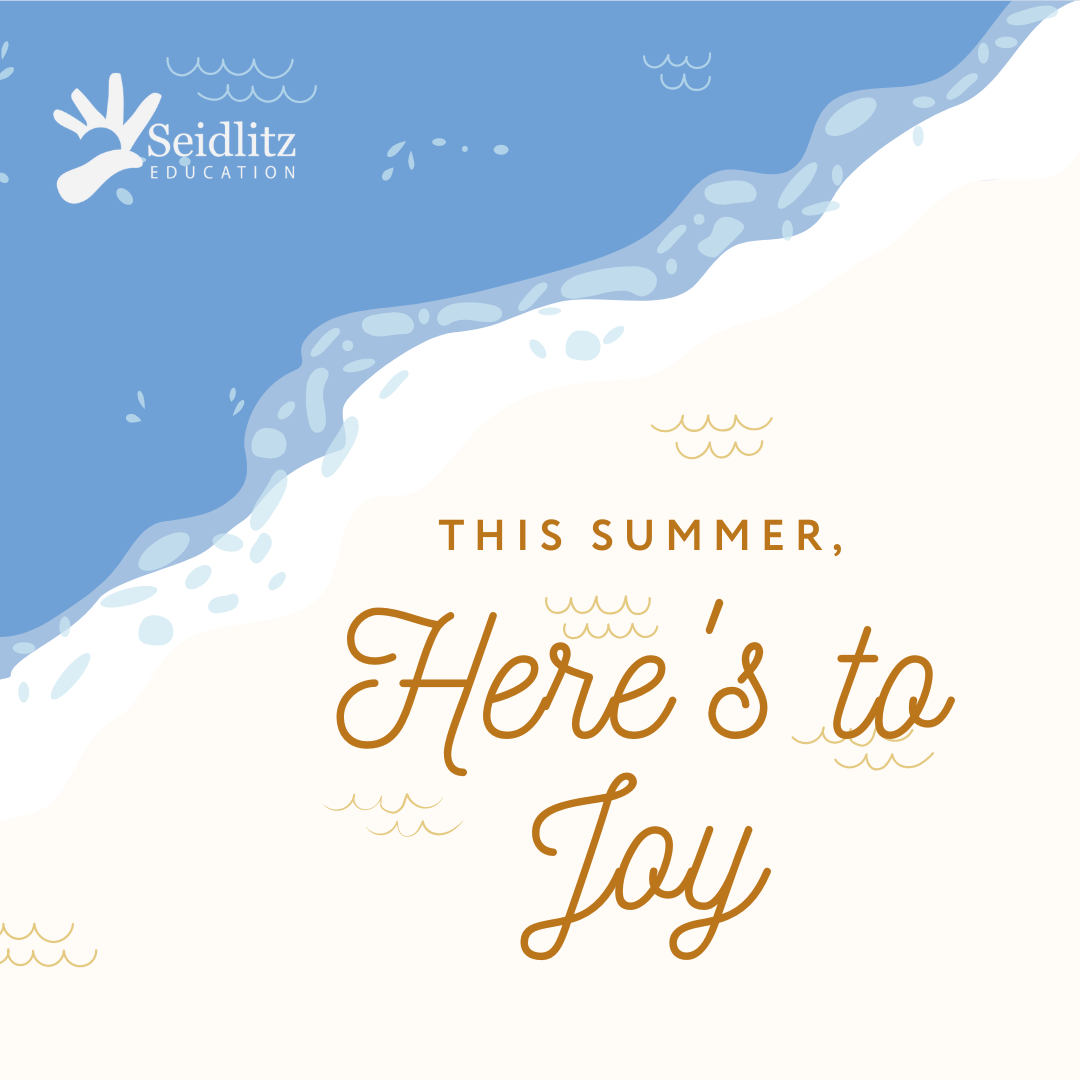 Three Tips for Successful Summer Professional Development – Seidlitz ...